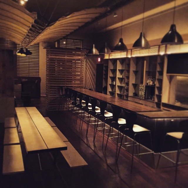 TWO SWEET KITTENS IN NEED OF HELP … plus … LOWERING ‘THE BAR’ IN THE ...