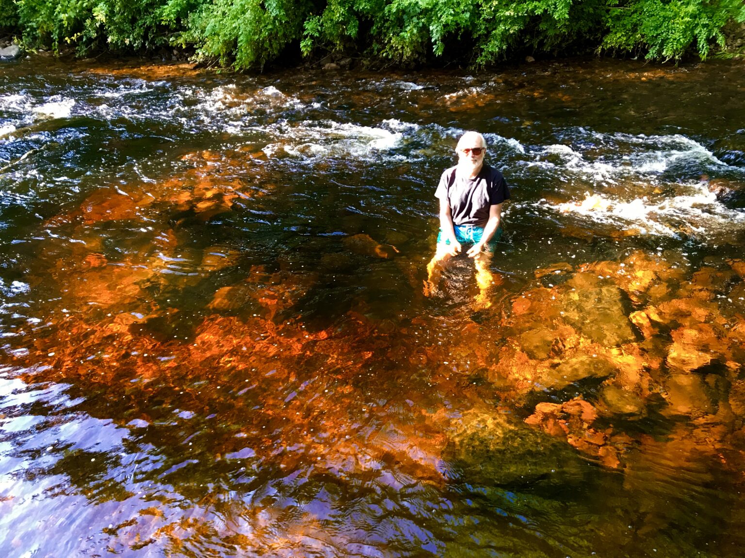 About Dan Valenti – Planet Valenti